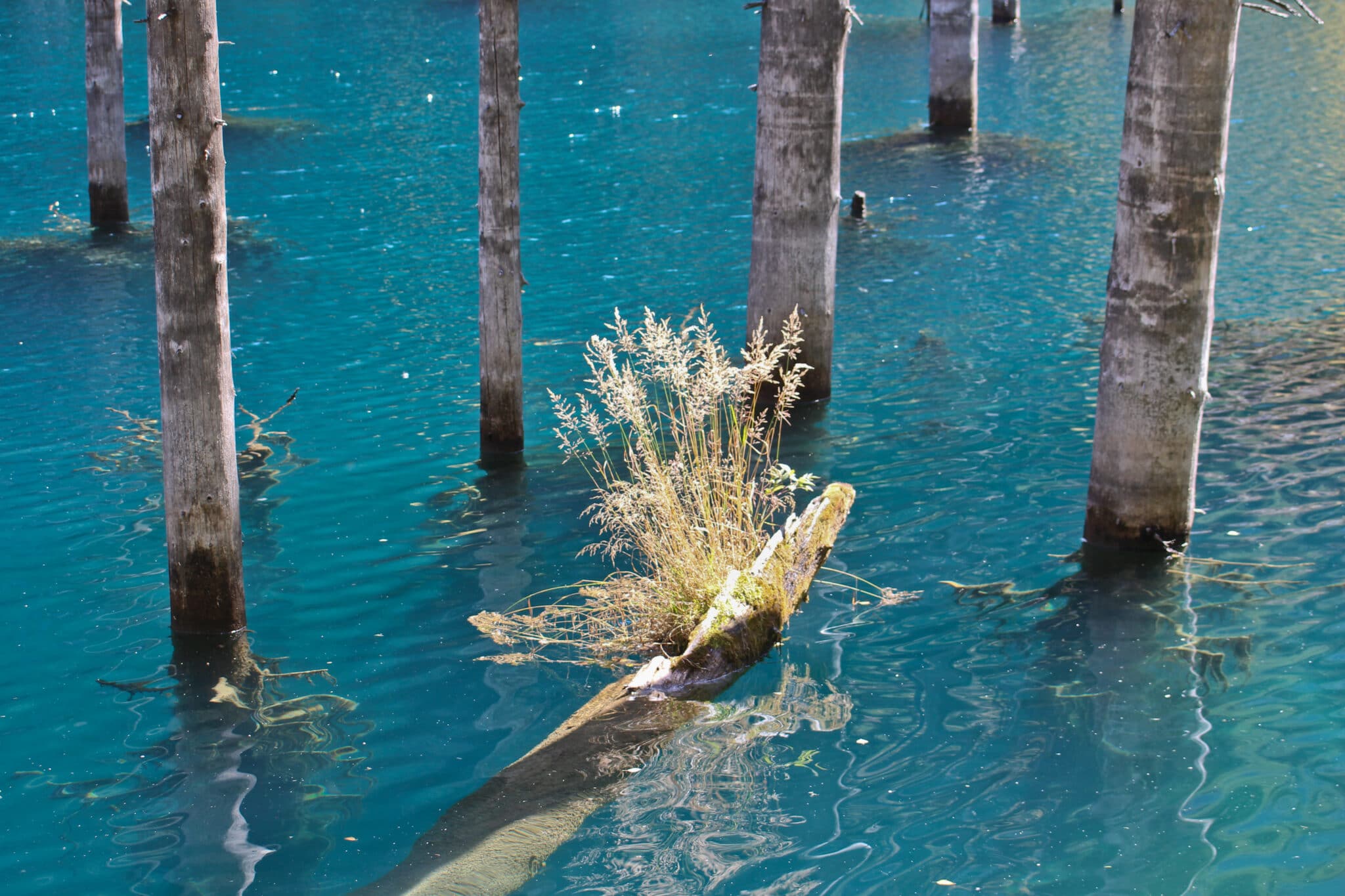 The Top 10 of Kazakhstan - Very nice! - Info Shymkent