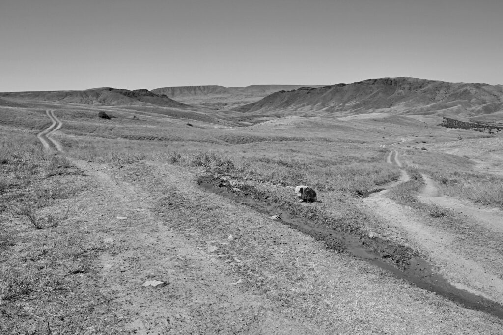 The Great Kazakhstan Famine - Info Shymkent